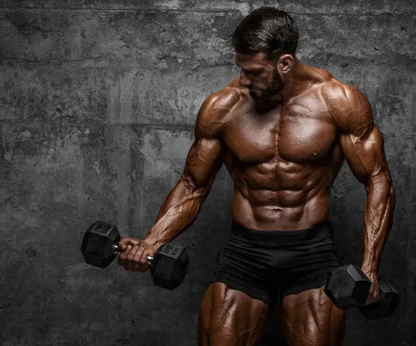 Guide Complet sur les Brûleurs de Graisse 2024 - Force Addict Pro