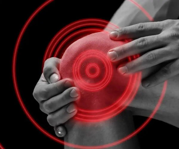 Guide Prendre Soin de vos Articulations | Force Addict Pro