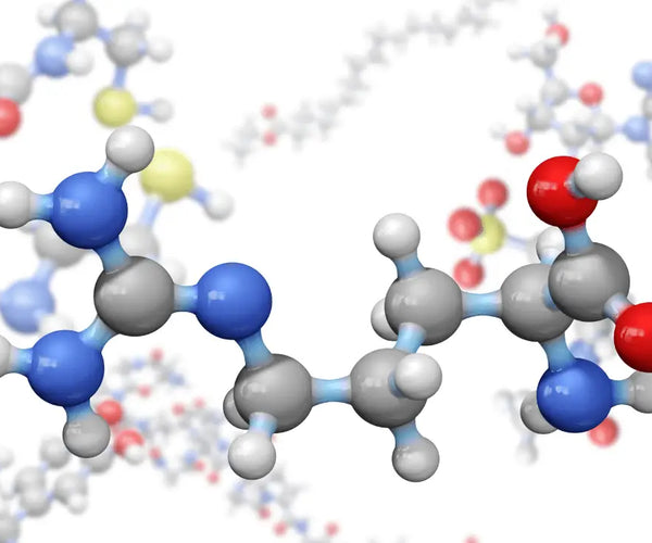 Quel sont les bienfaits de l'arginine | Force Addict Pro